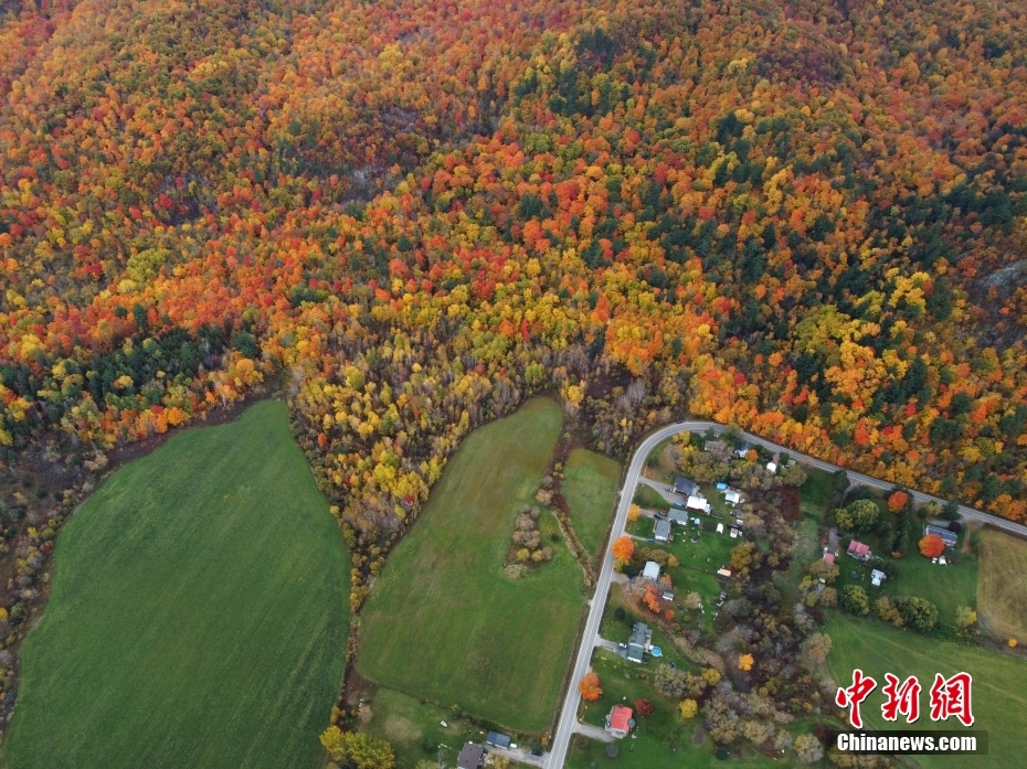 欧洲时报–欧时网-欧时大参-加拿大秋色渐浓 跟随镜头欣赏秋日”枫“景