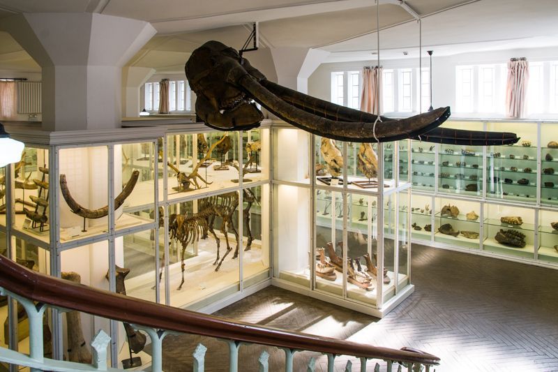 Ce Français qui a exploré la Chine et créé un musée unique au monde